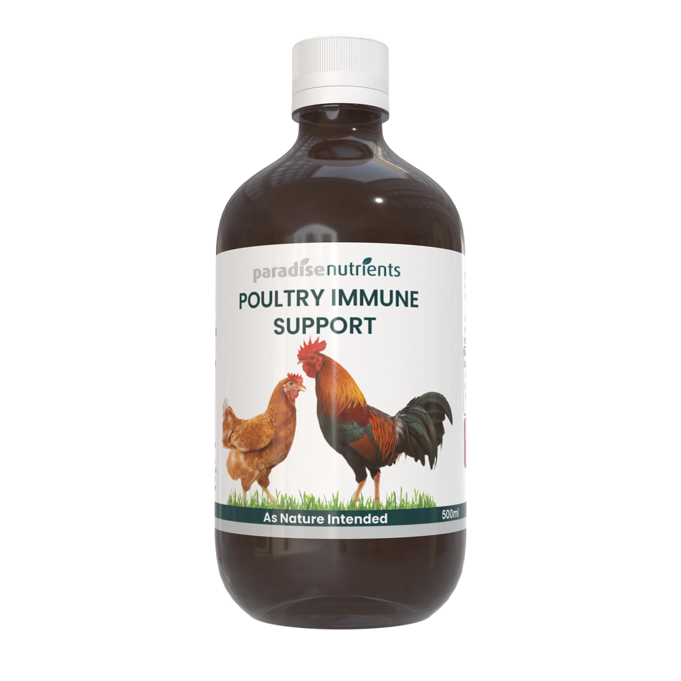 Poultry Immune Support – Paradise Nutrients Pty Ltd